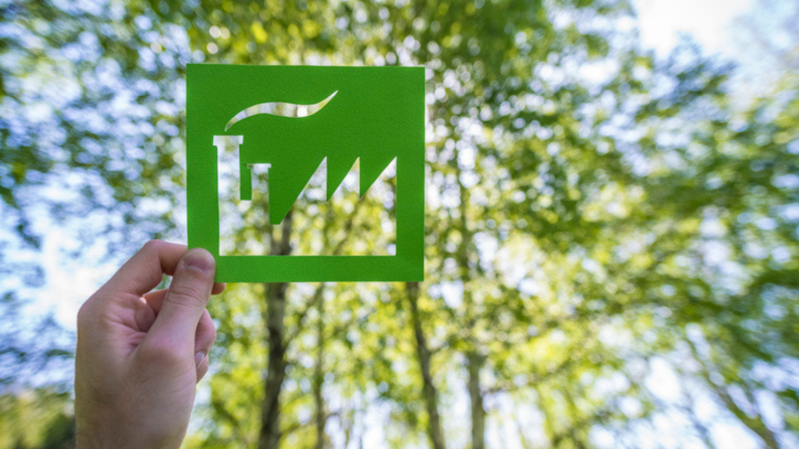 A Beginner's Guide to Green Procurement - Next Level Purchasing ...